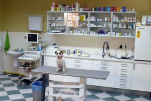How can I use digital signage for veterinary clinics?